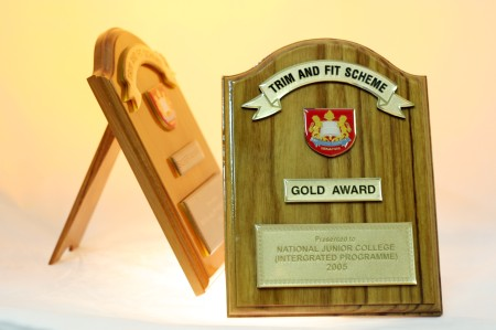Order Award Plaques, Singapore | Free Shipping Over $350