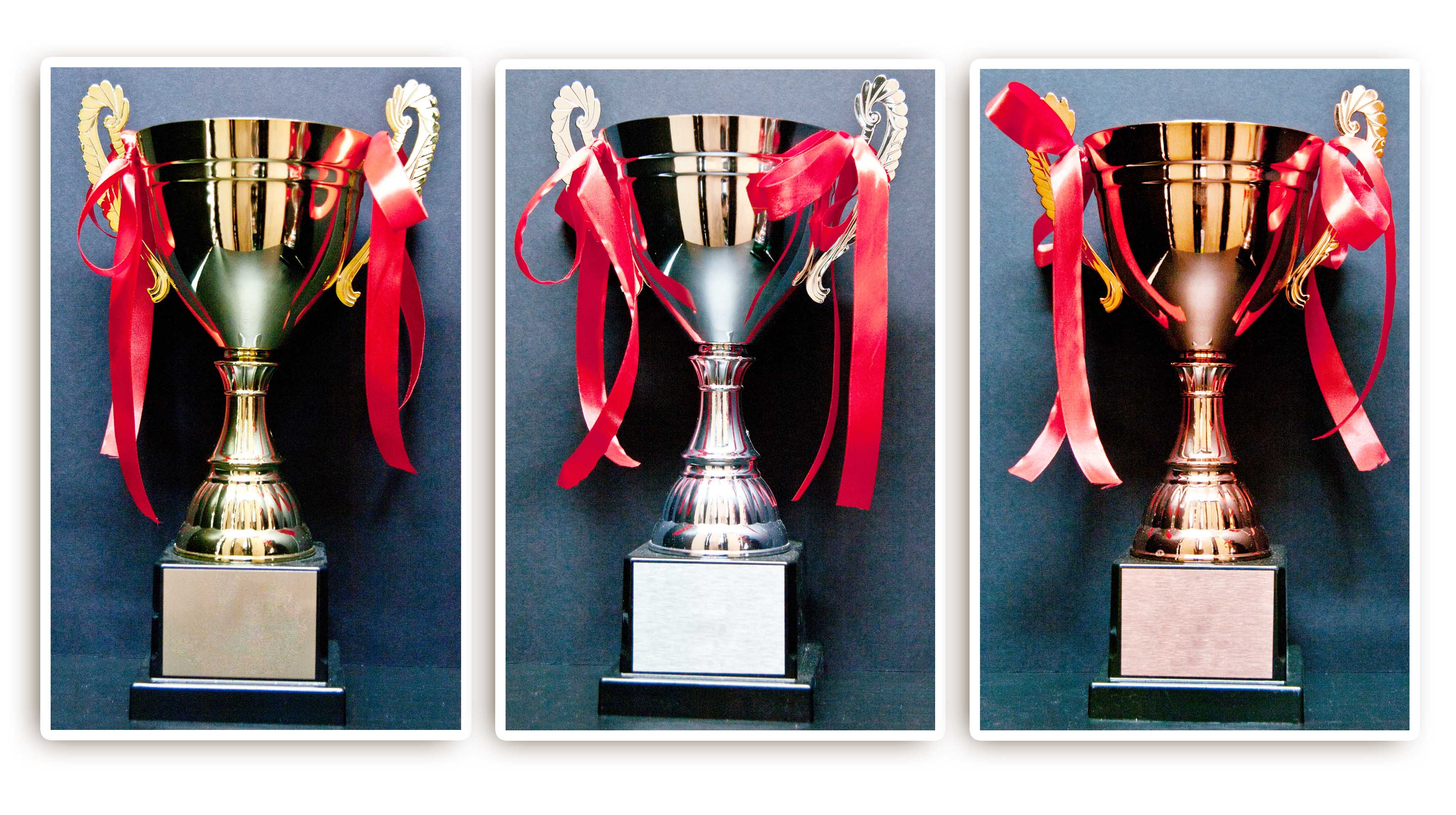 Trophies – Page 9 – Alvin Sports