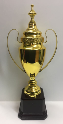 Trophies – Alvin Sports