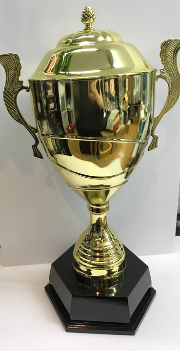 Trophies – Alvin Sports